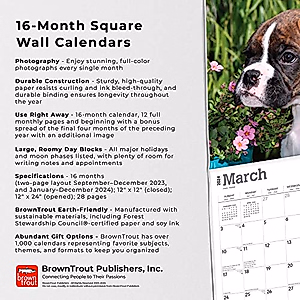 Boxer Puppies | 2024 12 x 24 Inch Monthly Square Wall Calendar | BrownTrout | Animals Dog Breeds Puppy