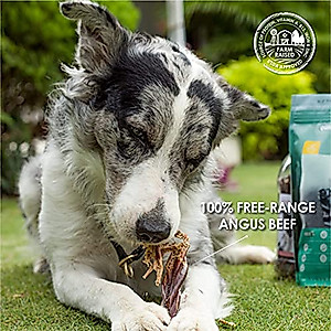 SUPERCAN BULLYSTICKS 12" Braided (30pc) Beef Bully Sticks for Small Medium Large Dogs - 100% Natural Dog Chews - Long Lasting Treats for Aggressive Chewers - Healthy Teeth - Free Range
