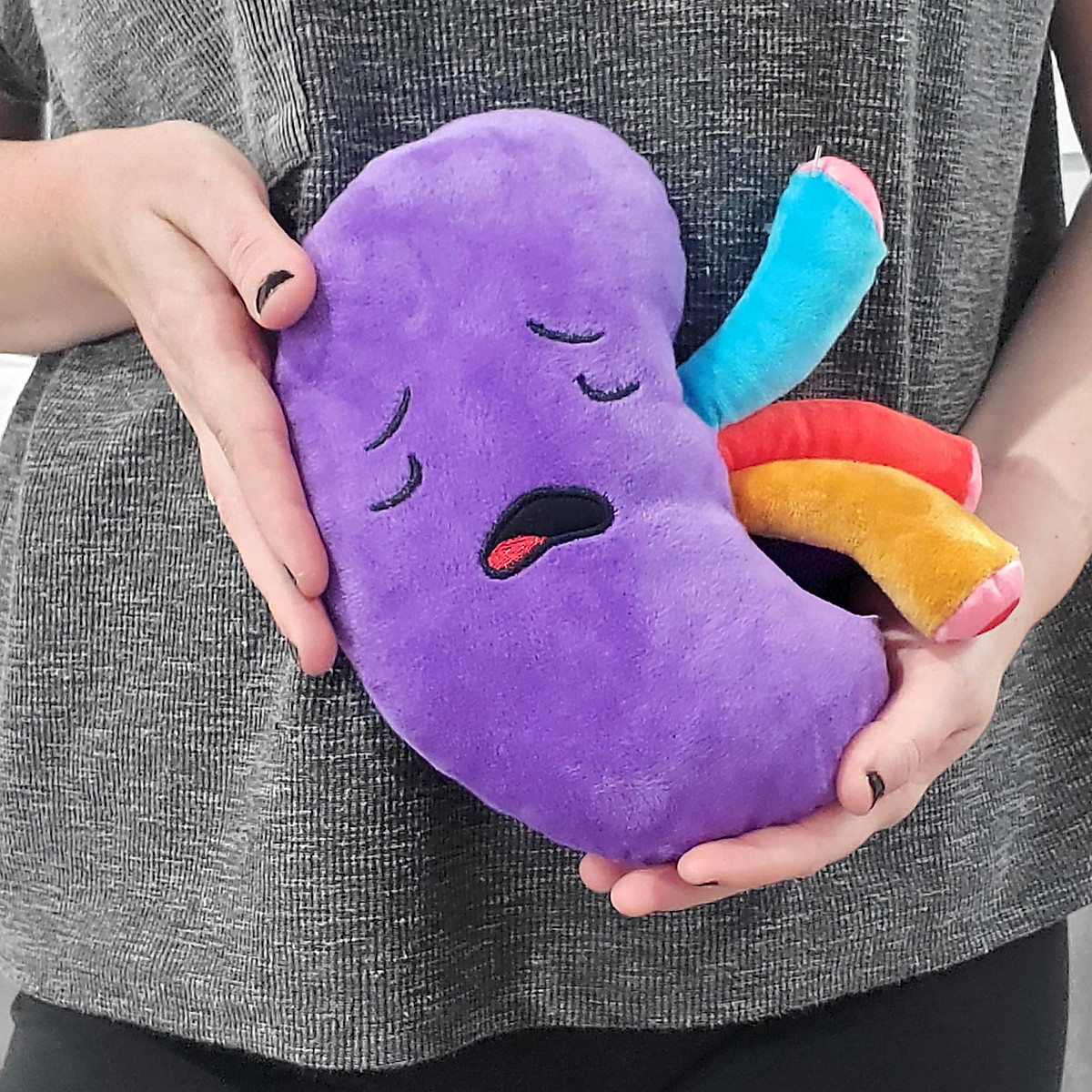 Attatoy Plush Kidney, Stuffed Body Organ Toy for Get Well Gift, Health Education and More