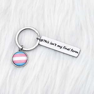 BAUNA LGBTQ Transgender Pride Key Chain Trans Flag Gift This Isn’t My Final Form Gay Pride Jewelry Gift (Transgender Keychain)
