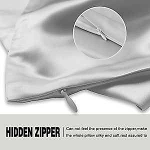 Natural Mulberry Silk Pillowcase for Hair and Skin Standard Size 20"X 26" with Hidden Zipper Soft Breathable Smooth Cooling Silk Pillow Covers(Silver Grey,Standard,1Pcs)