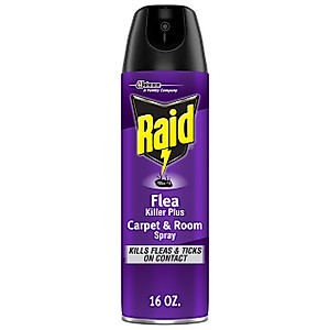 Raid Flea Killer Carpet & Room Spray, Kills hatching eggs for up to 4 months, 16 Oz