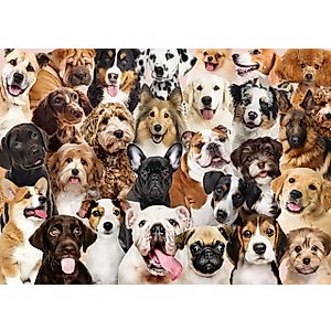 PETER PAUPER PRESS All The Dogs 1000 Piece Jigsaw Puzzle