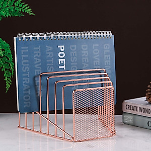 Simmer Stone Incline File Sorter, 7 Slot Magazine Holder for Letter, Document, Folder and Book, Metal Desktop Organizer Rack for Home, School and Office, Rose Gold
