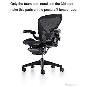 New Foam Pad Replacement for Herman Miller Classic Aeron Chair Posturefit Lumbar. Graphite/Black.