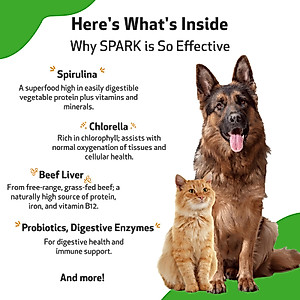 Pet Wellbeing Spark Daily Nutritional Greens Superfood for Dogs & Cats - Probiotics, Digestive Enzymes, Amino Acids, Antioxidants, Vitamin D, Spirulina & More - Vet-Formulated - 3.53 oz (100 g) Powder