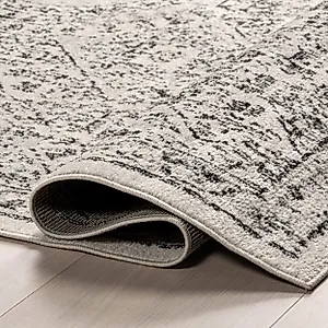 nuLOOM Minta Vintage Transitional Area Rug - 9x12 Area Rug Transitional Grey/Ivory Rugs for Living Room Bedroom Dining Room Kitchen