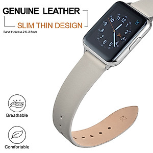 ANNEFIT Calfskin Leather Watch Straps 20mm, Thin Elegant Replacement Watch Band with Gold Buckle (Grey)