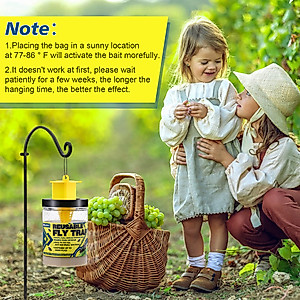 Qualirey 10 Pack Fly Trap Bait Refills, Non Toxic Fly Trap Attractant for Reusable Outdoor Hanging Fly Trap Bottles, 30g Natural Fly Trap Bait Attractant Refills for Outside Fly Killer Bottles