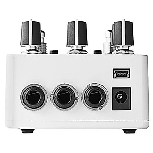 Red Panda Raster 2 Digital Delay Pedal