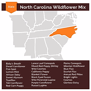 North Carolina Wildflower Seed Mix - 1/4 Pound - Mixed Wildflower Seeds, Attracts Bees, Attracts Butterflies, Attracts Hummingbirds, Attracts Pollinators, Easy to Grow & Maintain, Cut Flower Garden