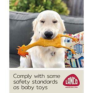 Rubber Chicken Dog Toys - Natural Rubber (Latex) - Lead-Free Chemical-Free - Handpainted - Soft Unstuffed Squeaky (Medium)