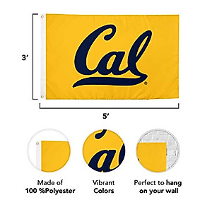 Desert Cactus University of California Berkeley Flag Golden Bears Cal UC Flags Banners 100% Polyester Indoor Outdoor 3x5 (Style 1)
