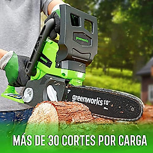 Greenworks 24V 10" Chainsaw, 2.0Ah USB Battery and Charger