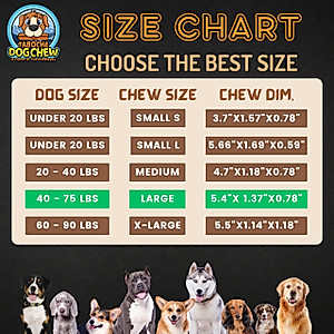 Taboche Dog Chew- Yak Cheese - All Natural & Organic- Long Lasting- A Flavor of The Himalayas - Large - 3.3 oz (93g) - Pack of 1