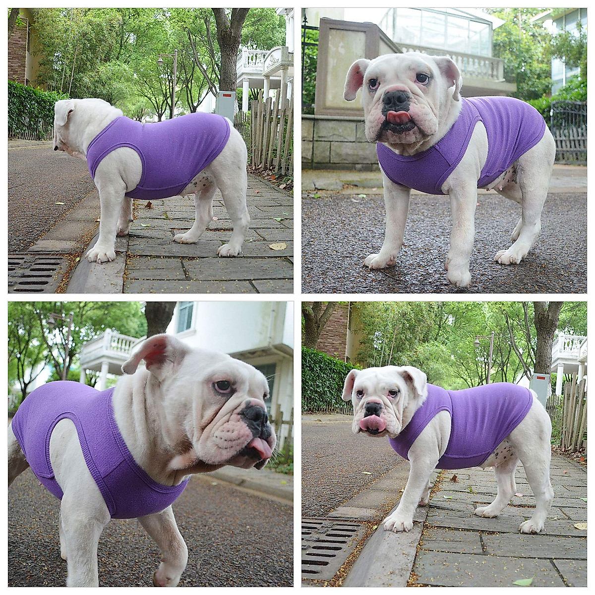 Lovelonglong 2019 Summer Pet Clothing, Dog Clothes Blank T-Shirts Ribbed Tanks Top Thread Vests for Large Medium Small Dogs 100% Cotton Purple L
