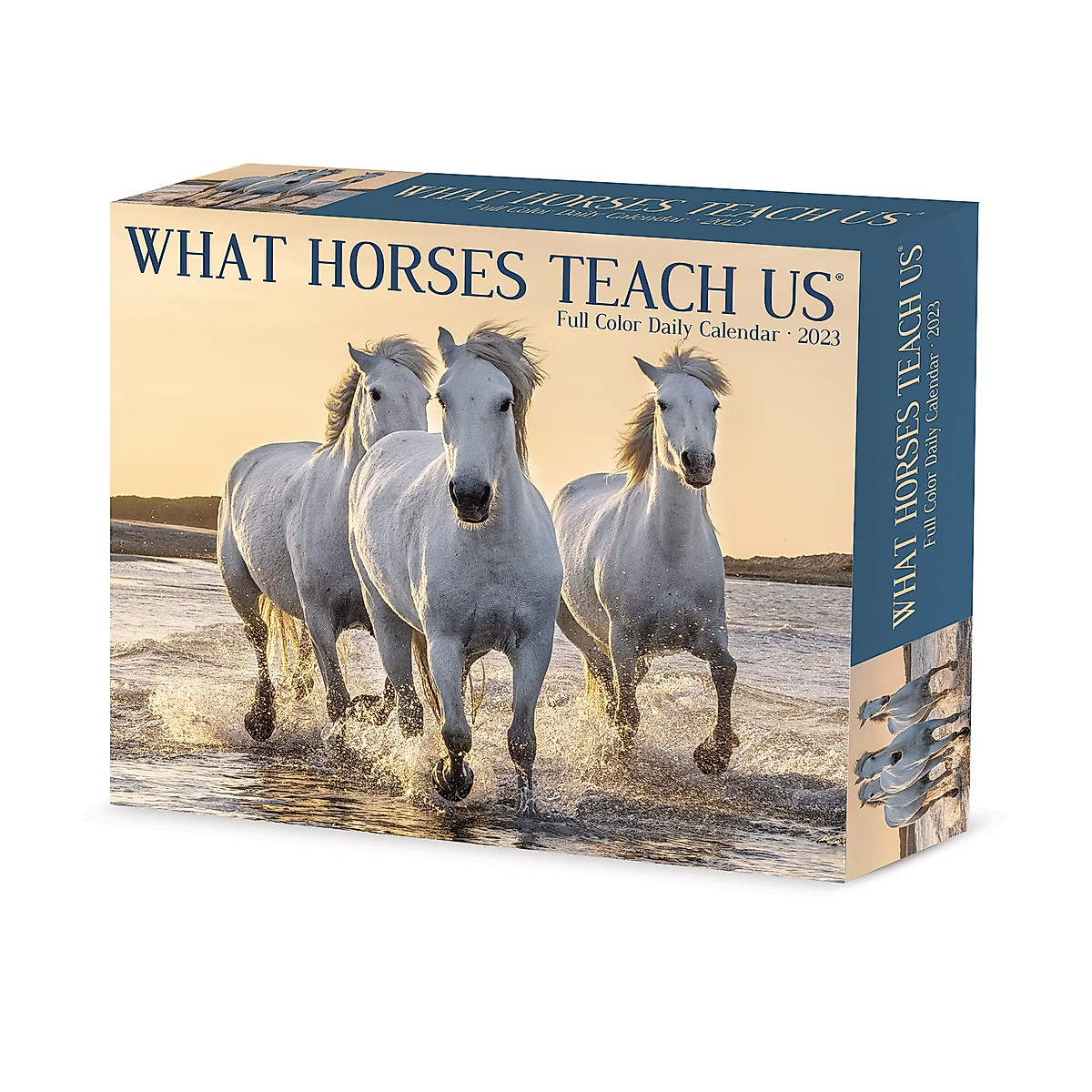 What Horses Teach Us 2023 Box Calendar