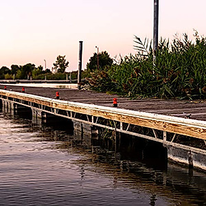 TOMAR 495S-120-R Microstrobe 1/2"-14 NPSL Male Thread Mount Base, 120VAC (Red, 1/2" Male Thread Mount (120 VAC))