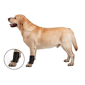 ZenPet Ligament Wrap for Dogs (Small)