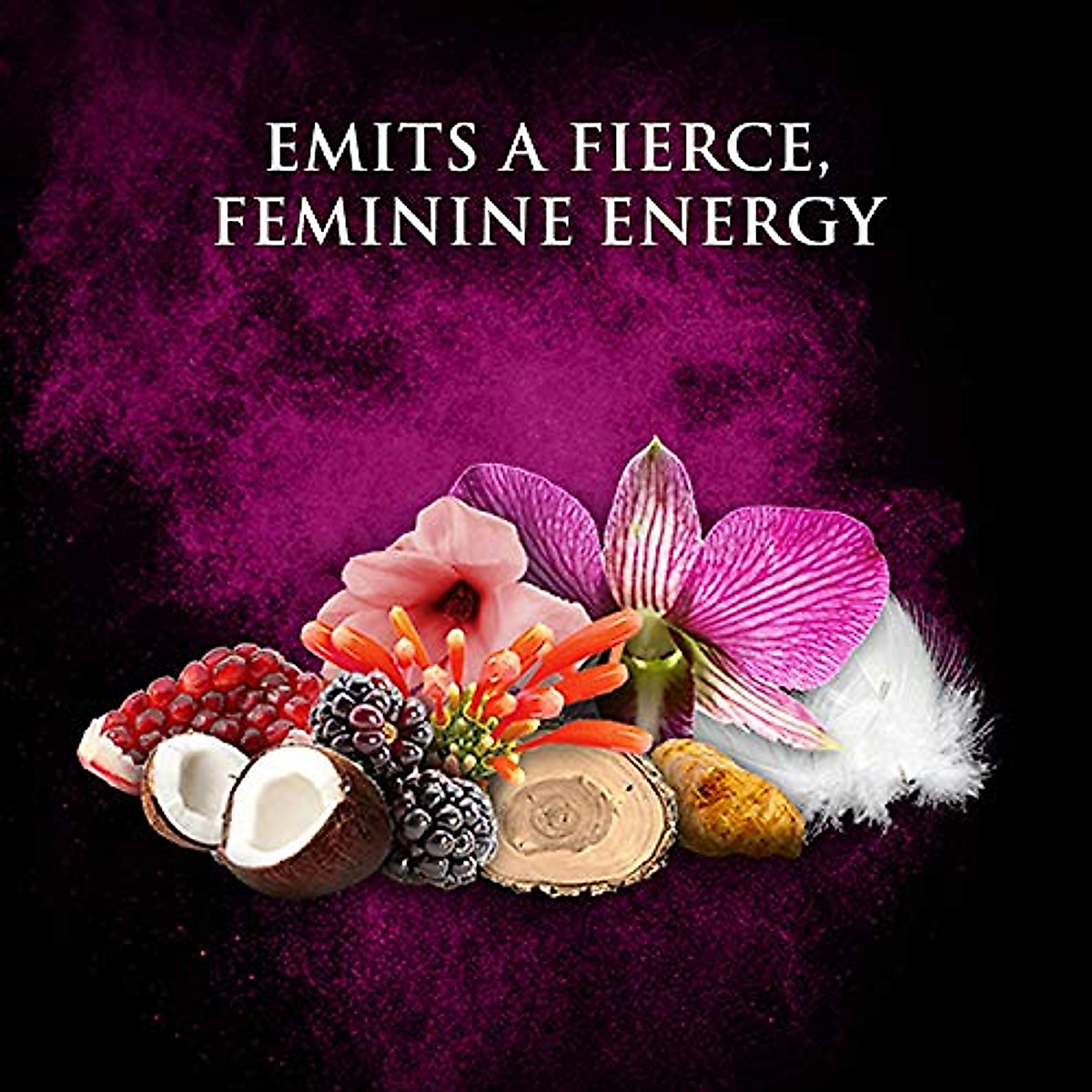 Beyonce Heat Wild Orchid Eau De Parfums Spray for Women, 1 Ounce