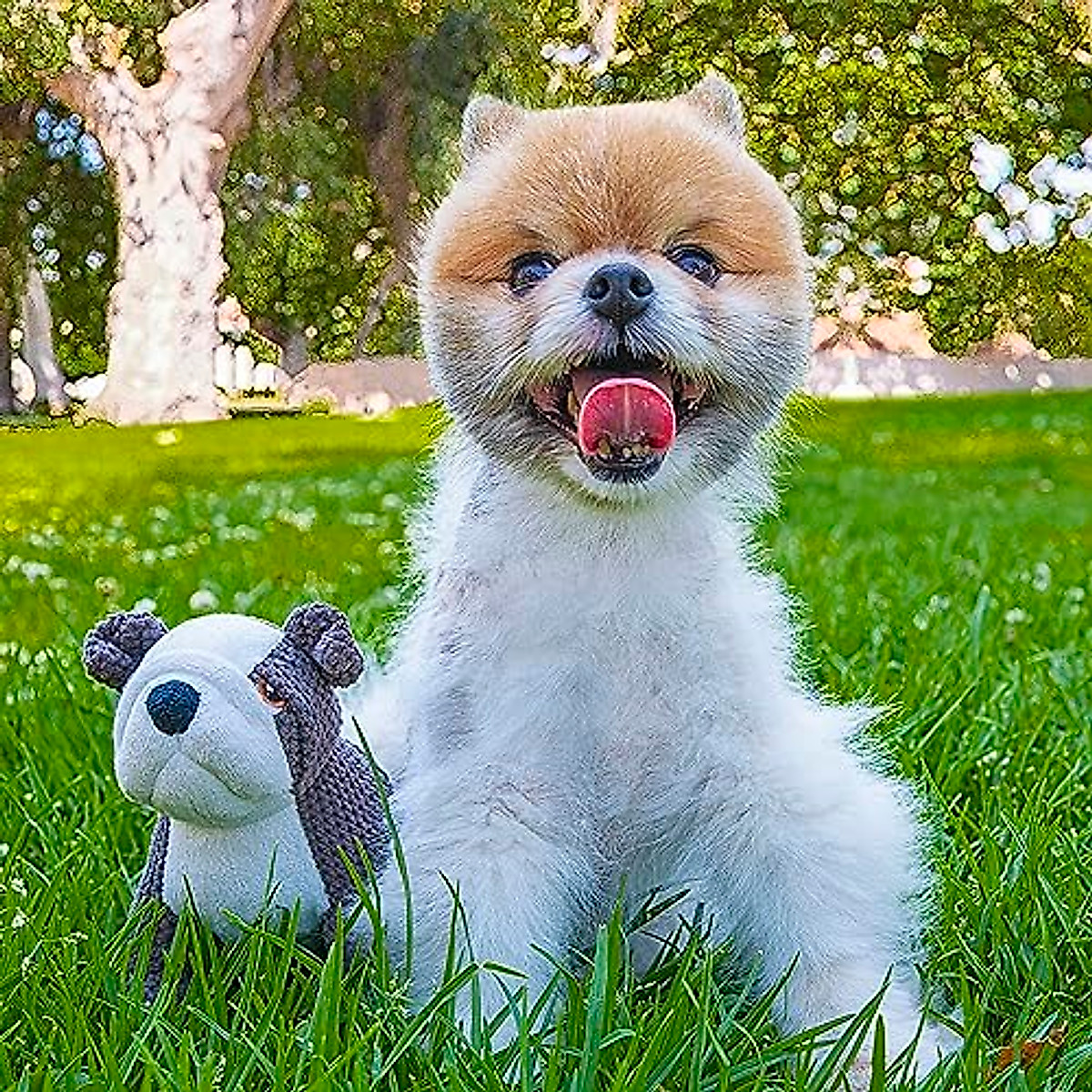 Unique Bulldog Plush Toy - Adorable Crinkle Toy with Squeaker - Suitable for Puppies to Large Dogs