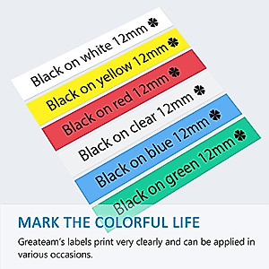 Greateam Compatible Label Tape 12mm Replacement for Brother TZe TZ Tape 12mm 0.47" P-Touch Label Tape TZe-231 TZe131 TZe431 TZe531 TZe631 TZe731 for Brother PT-D210 PTH110 PTD400 PT-D600 PTP300BT, 6PK