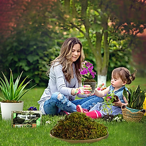 Doter Dried Forest Moss for Plants (5 qt / 1 pack), Sphagnum Potting Moss for Various Plants, Including Orchids, Carnivorous Plants, Succulents, Garden Flowers, and Reptiles