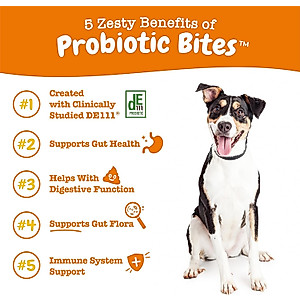 Probiotics for Dogs - Digestive Enzymes for Gut Flora, Digestive Health, Diarrhea & Bowel Support - Clinically Studied DE111 - Dog Supplement Soft Chew for Pet Immune System - Pumpkin