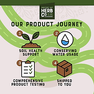 Monterey Bay Herb Co. Organic Gentian Root, Cut & Sifted | Yellow Gentian or Bitterwort | Similar to Hops | Herbal Bitters and Tea Blends (1/4 Pound)