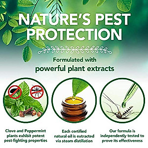 Vet's Best Flea and Tick Easy Spray | Flea Treatment for Dogs and Home |Plant-Based Formula | 6.3 Ounces