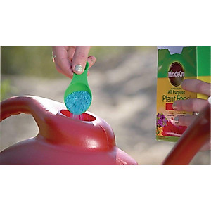 Miracle-Gro 2000992 Water Soluble All Purpose Plant Food, 0.5 LB (8 OZ, Green