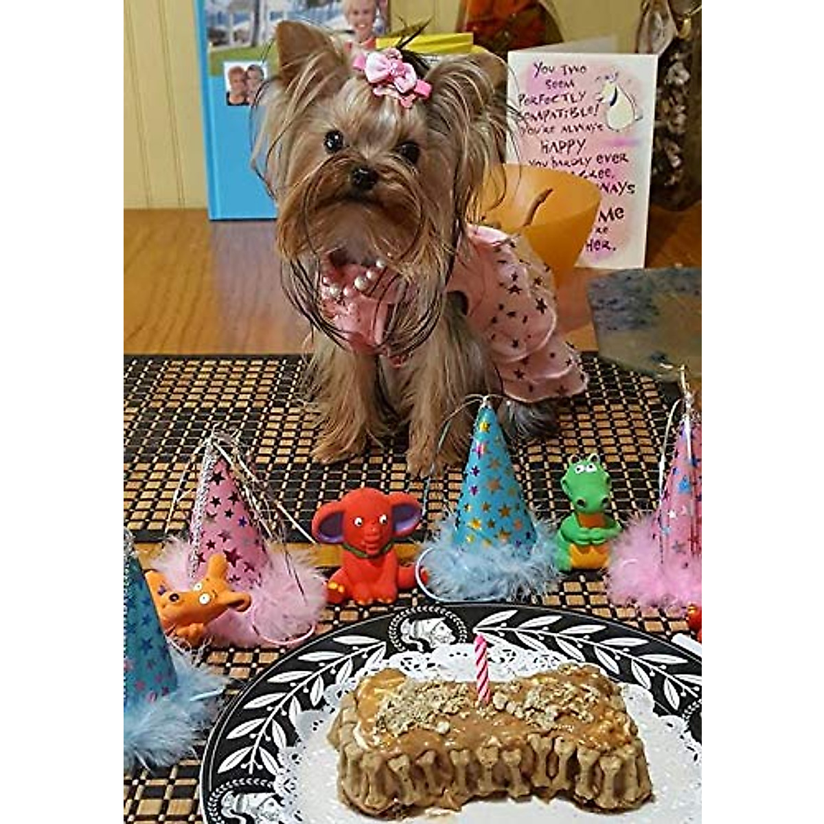 Petcakes Birthday Cake Kit For Dogs, 7" x 4.5" x 3"