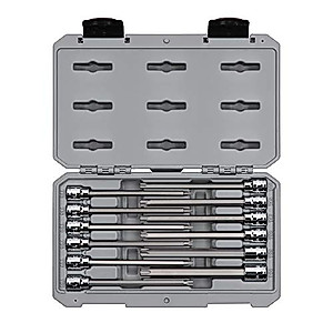TEKTON 3/8 Inch Drive Long Torx Bit Socket Set, 12-Piece (T10-T60) | SHB91305