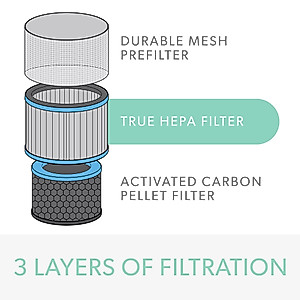 TruSens DuPont Allergy & Flu Filter with True HEPA for Z-3000 TruSens Air Purifier (Large)
