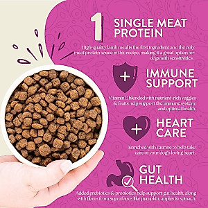 Earthborn Holistic Meadow Feast Grain-Free Natural Dry Dog Food (2 Bags - 50 Pounds Total)