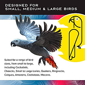 Featherland Paradise | Creative Foraging Systems Hanging Foraging Sphere & Kabob with Stainless Steel Bell, Interactive Bird Treat Toy