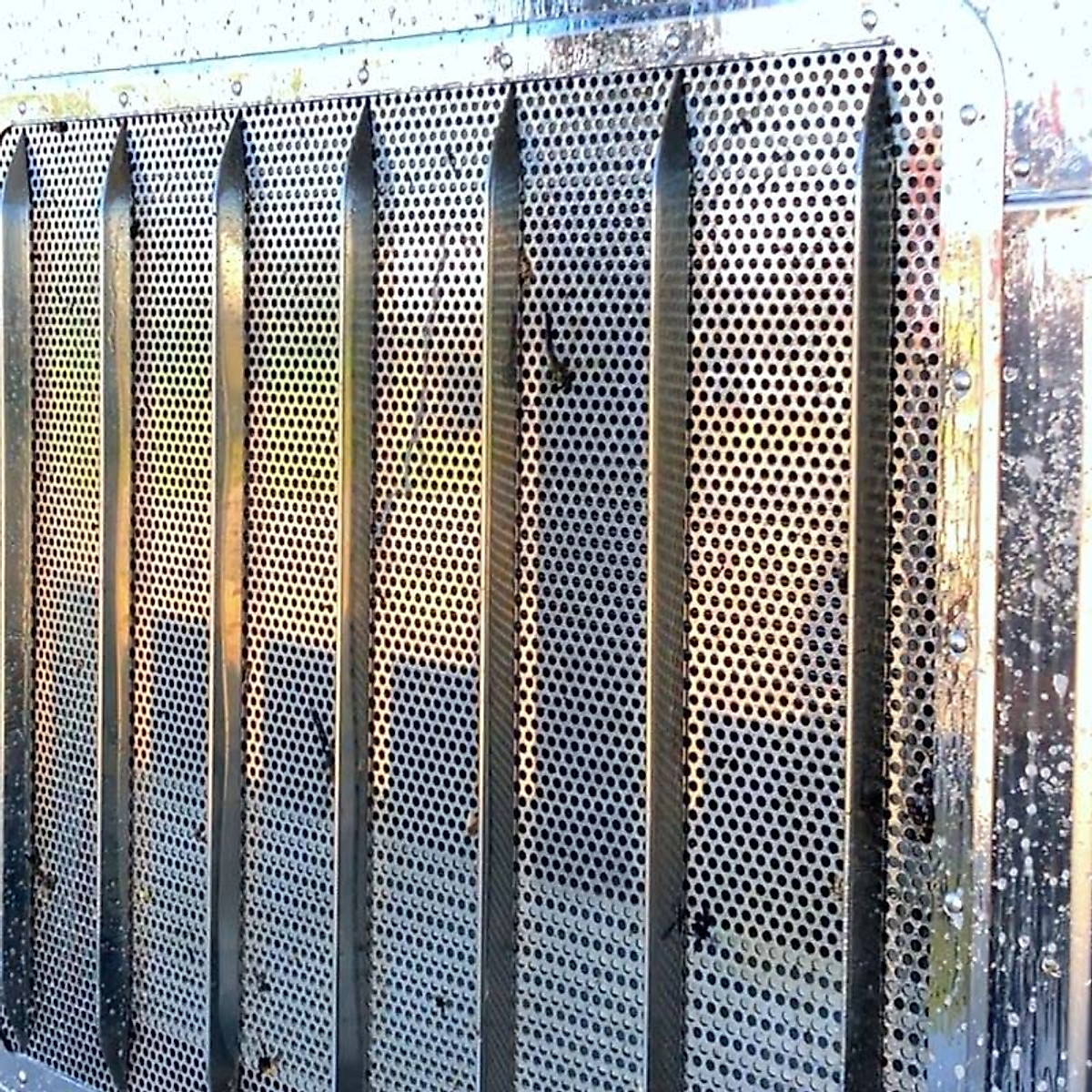 Image Wash Products Bug Remover - 32oz Sprayer - RV/Car/Truck Bug Remover – Bug Protein Remover for Car Detailing - RV Maintenance Products - Polished Aluminum & Chrome Safe