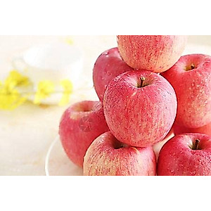 Dwarf Bonsai Apple Tree Seeds - 50 Seeds - Grow Exotic Indoor Fruit Bonsai