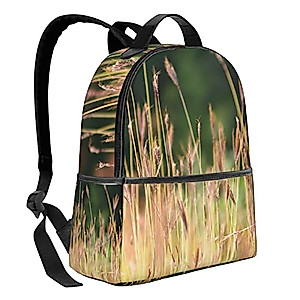 BAFAFA grasses view Printed Travel Backpack Business Work Bag Computer Bag Outdoor Sports Rucksack