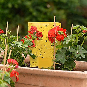 Gideal 10-Pack Dual-Sided Yellow Sticky Traps for Flying Plant Insect Such as Fungus Gnats, Whiteflies, Aphids, Leafminers,Thrips - (6x8 Inches, Included 10pcs Twist Ties)