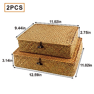 TWIGANDLAKE 2PCS Wicker Woven Storage Bins with Natural Seagrass Rattan Woven Organizer Boxes, Small and Large Wicker Basket Set with Lid for Shelf, Book