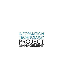 Information Technology Project Management