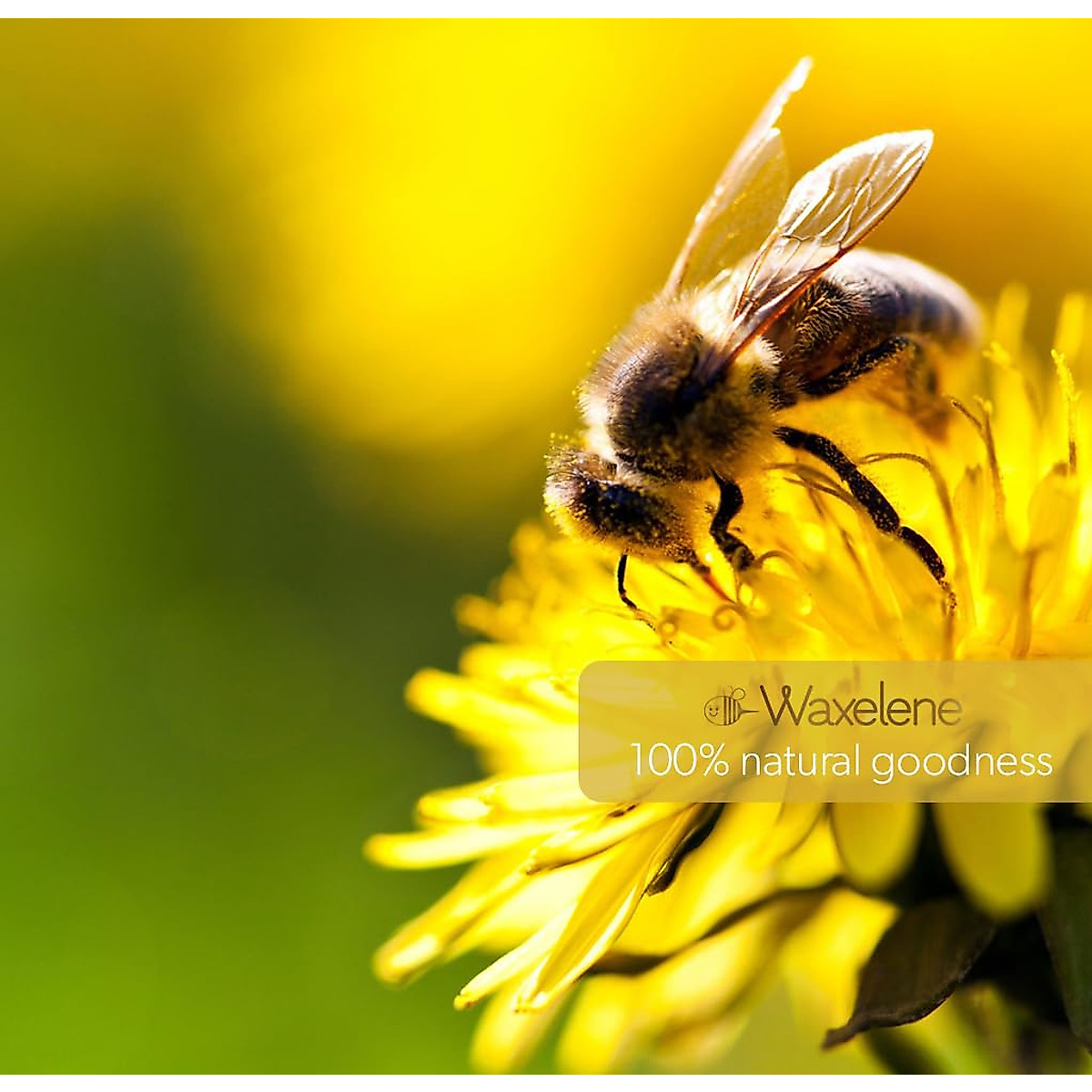 Waxelene Original Aerated Balm, Travel Jar, Organic Multipurpose Ointment the Petroleum Jelly Alternative Eczema Dry Sensitive Skin Face Moisturizer