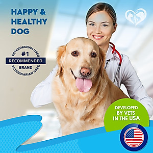 Kennel Cough Treatment & Natural Infection Medicine for Dogs & Cats - Respiratory & Cold Cough Relief - Collapse Trachea & Cat Asthma Support - Made in USA