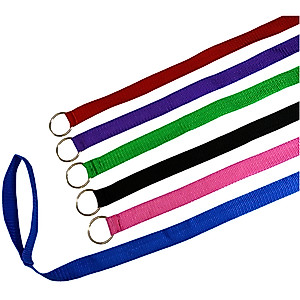 Downtown Pet Supply - 6ft Dog Kennel Slip Lead Dog Leash - Veterinarian, Dog Grooming, Daycare & Animal Rescue Dog Supplies - One Size Leads for Dogs Bulk - 1" Thick 6 Pack