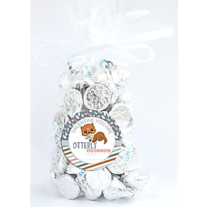 Adorable Otter Otterly Amazing Valentine Party Favor Sticker Labels for Girls, 40 2" Party Circle Stickers by AmandaCreation, Great for Classroom Valentines, Envelope Seals, Gifts & Treats