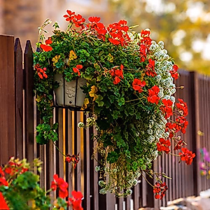 defutay Hanging Railing Planters, 4 Pack Round Flower Pot Holders,Metal Pot Plant Baskets for Balcony,Garden,Indoor & Outdoor(Black,4 PCS)