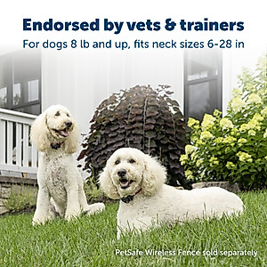 PetSafe Wireless Pet Fence Containment System Receiver Collar Only for Dogs and Cats Over 8 lbs., Waterproof with Tone and Static Correction - from The Parent Company of Invisible Fence Brand