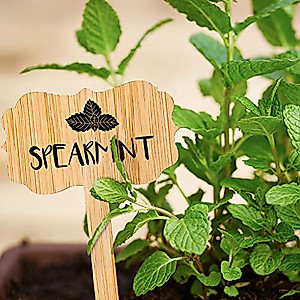 Whaline 60Pcs Bamboo Plant Labels with 1 Marker Pen Eco-Friendly T-Type Wooden Plant Sign Tags Wood Garden Markers Decorative Garden Tags for Seed Potted Herbs Flowers Vegetables (6.5 X 10 cm)