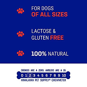 Himalayan Dog Chew Happy Teeth Yak Cheese Dog Chews Dental Chews, 100% Natural, Long Lasting, Gluten Free, Healthy & Safe Dog Treats for Oral Health, Lactose & Grain Free, Protein Rich, Bacon, 2 Chews